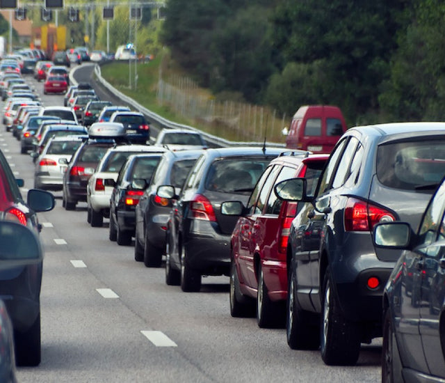 Can Dr. Garber’s Lung Health bioformula help prevent diabetes?