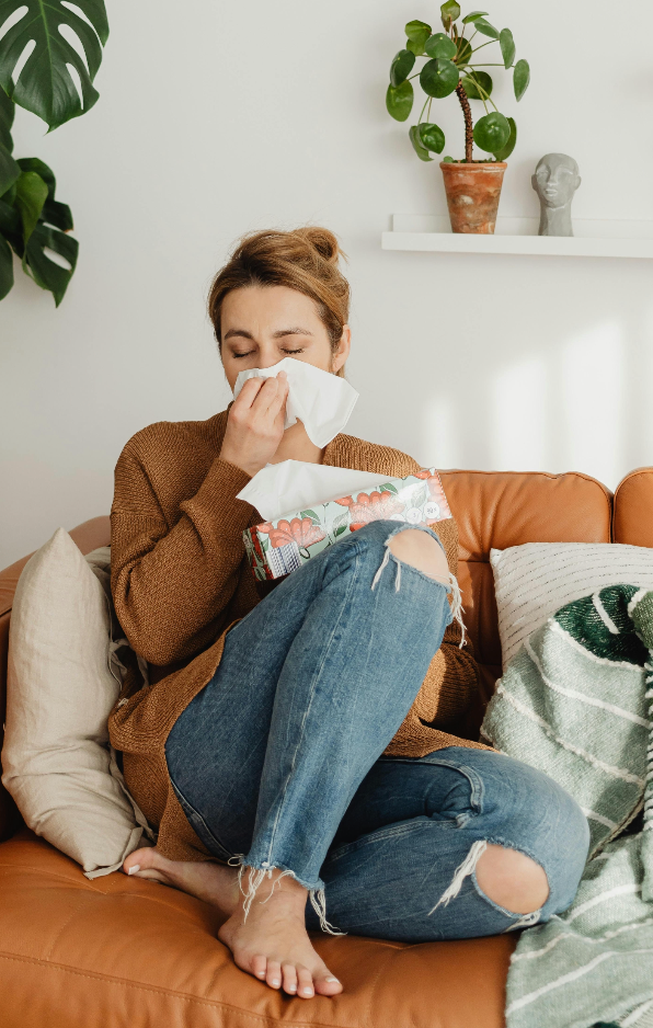 Heal Your Gut, Ease Your Allergies: The Hidden Connection Between Seas ...